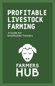 Farmers Hub – Connect, Trade, and Thrive in Livestock & Agriculture
